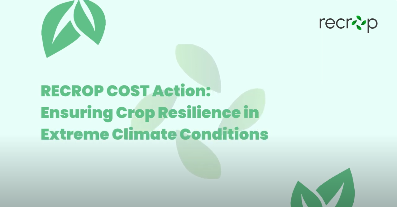 Recrop-cost