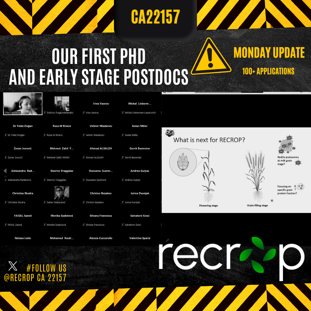 Recrop-cost